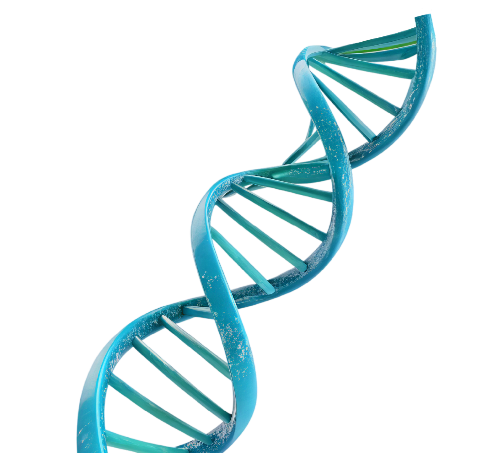 EVA – Your Gateway to Longevity.